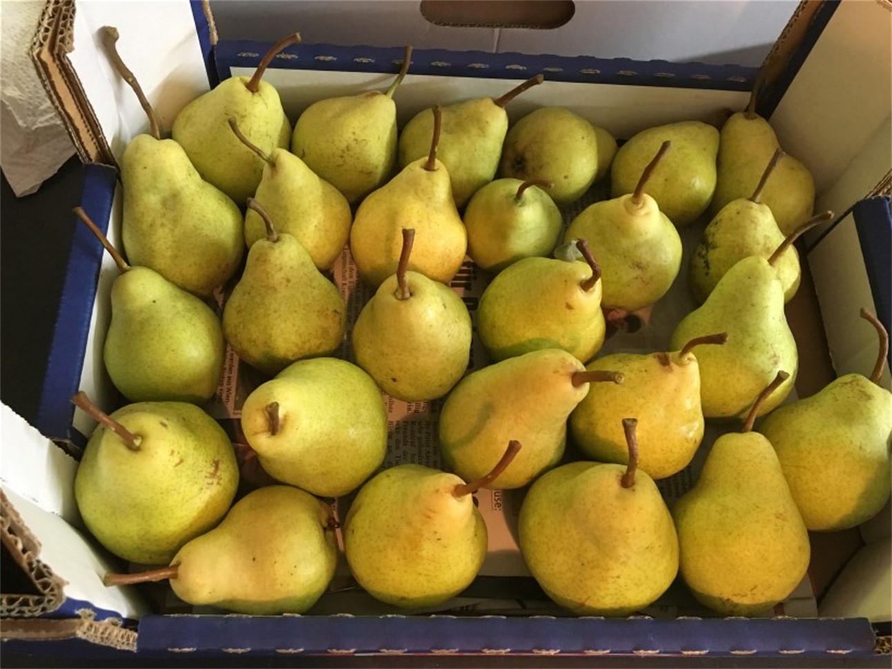 Unsere Obstverwertung